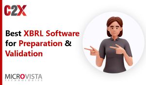 XBRL Software for Preparation & Validation Of Business Reports